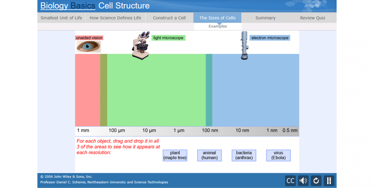 bio-animations | WileyPLUS